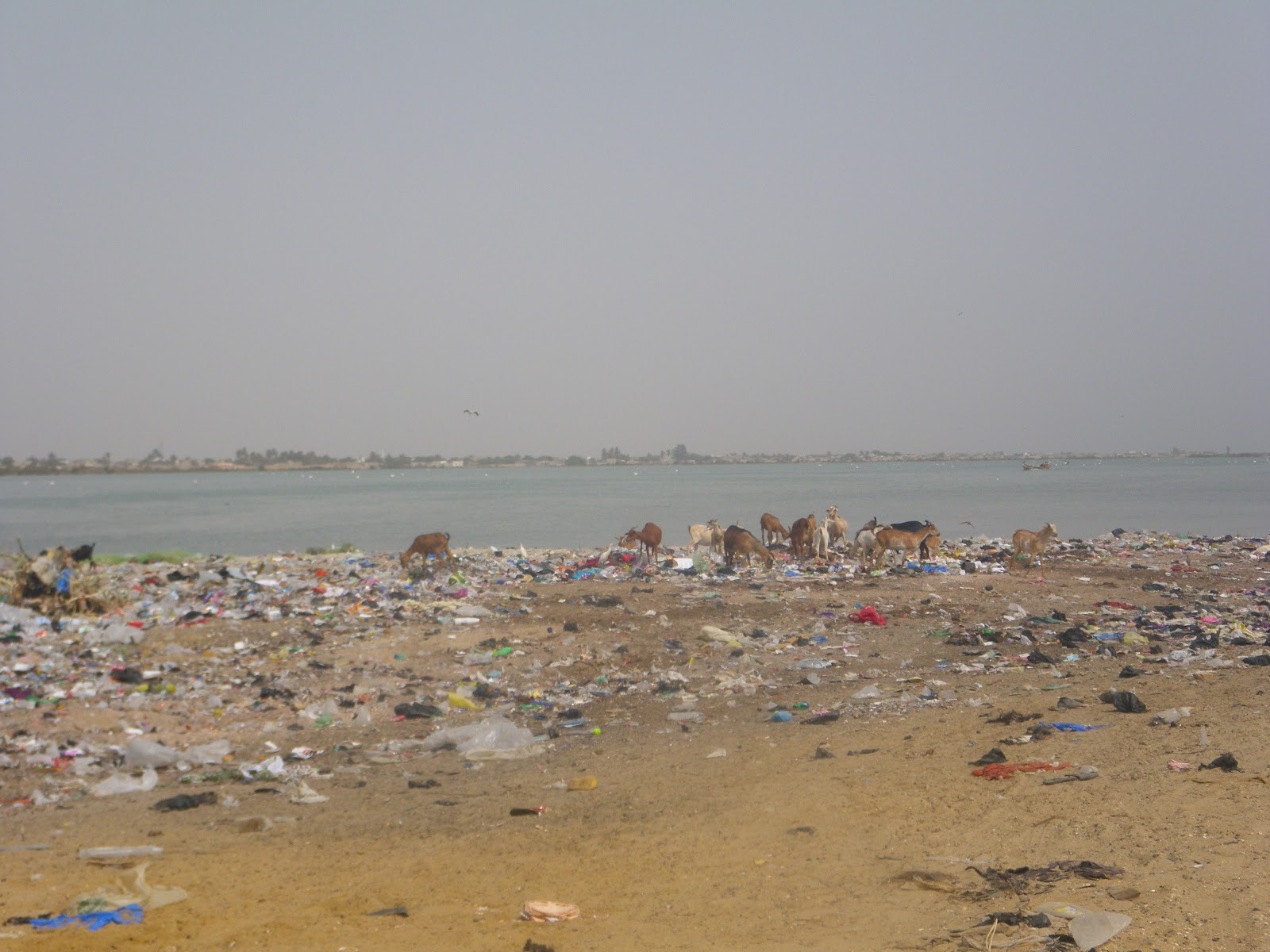 This Senegalese Life: Endless Trash