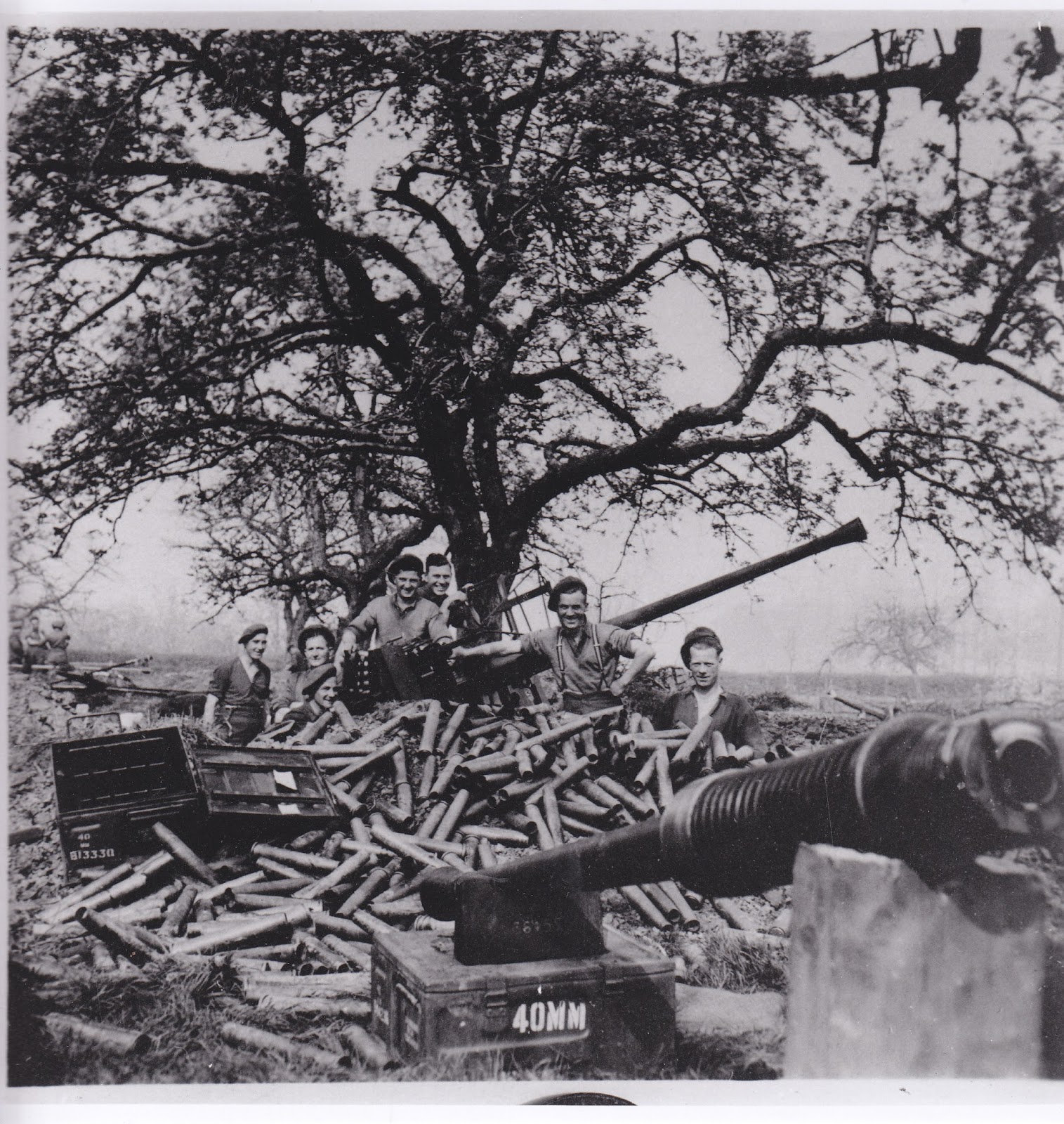 133rd Light Anti-Aircraft Regiment - Some World War II stuff