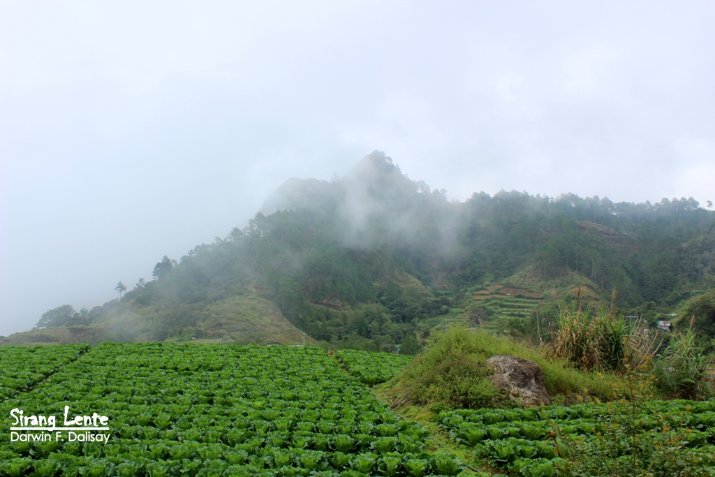 SIRANG LENTE | TRAVEL & HIKE: Bakun Trio: Mt. Lobo and its Misty Summit
