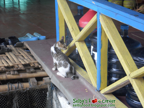 Selby's Food Corner: Lunch at Waduk Cirata (Cirata Dam) Sindang Jaya ...