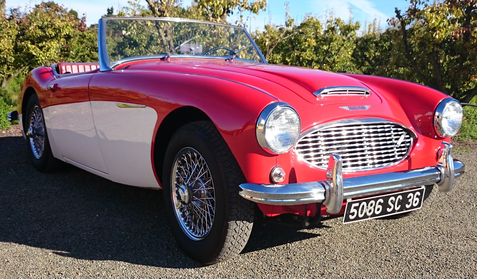 minietcompagnie.com: Une Austin Healey 3000 chez Mini et Compagnie
