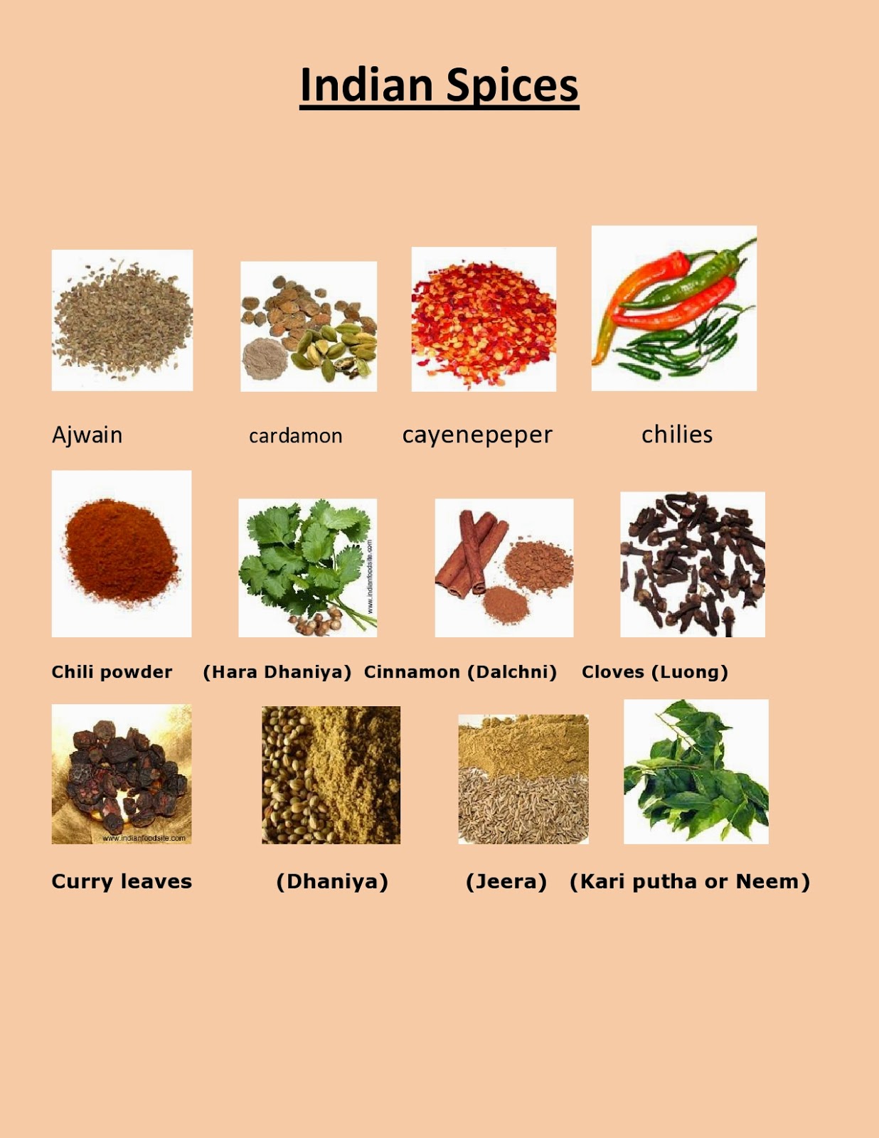 MB SPICES UTTAR PRADESH