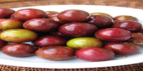 Philippine Species, Plants, Rock/Water Formation: Pebrero 2015