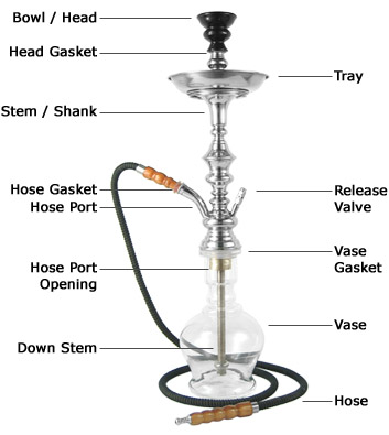 Hubbly Bubbly