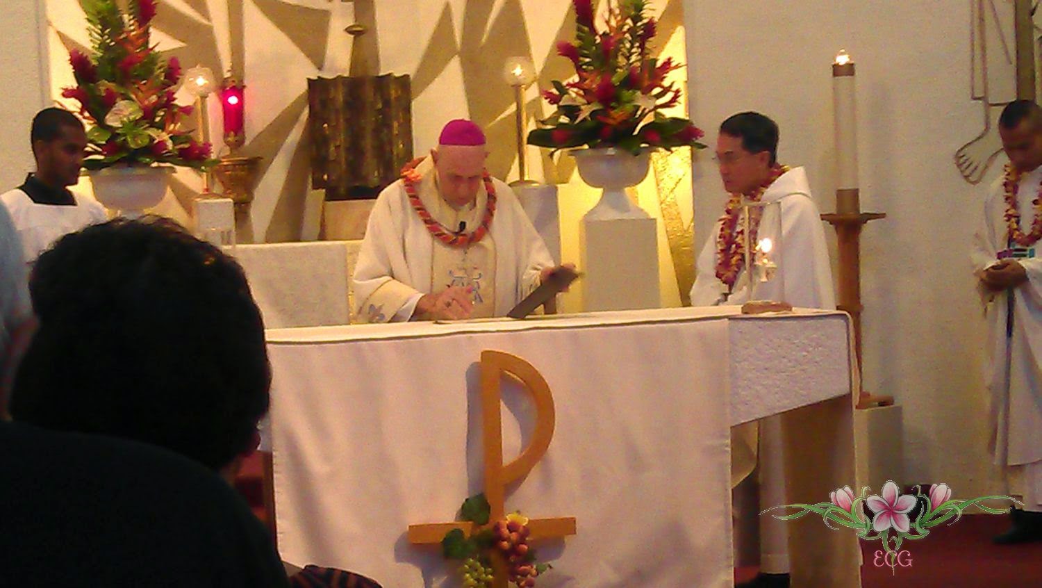 Diocese of Honolulu Spiritual Moms Apostolate: An Installation Mass for ...