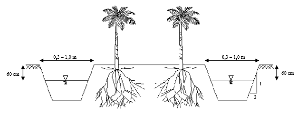 Blog Yussanda: SISTEM DRAINASE PERKEBUNAN KELAPA SAWIT