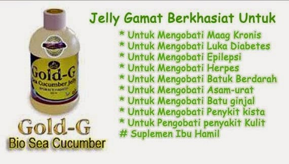 Manfaat Jelly Gamat Gold G Sea Cucumber - TOKO HERBAL TASIKMALAYA