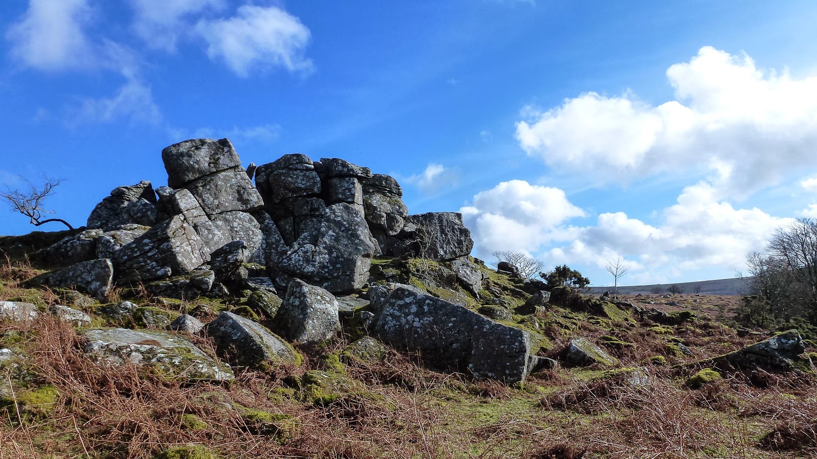 My Dartmoor Walks: Friday 7th February Down Tor