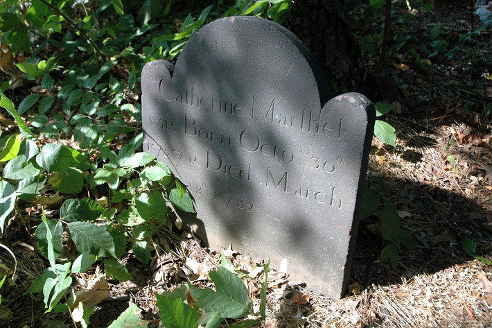 OTIS (Odd Things I've Seen): The New York Grimpendium: Arthur Kill Ship ...