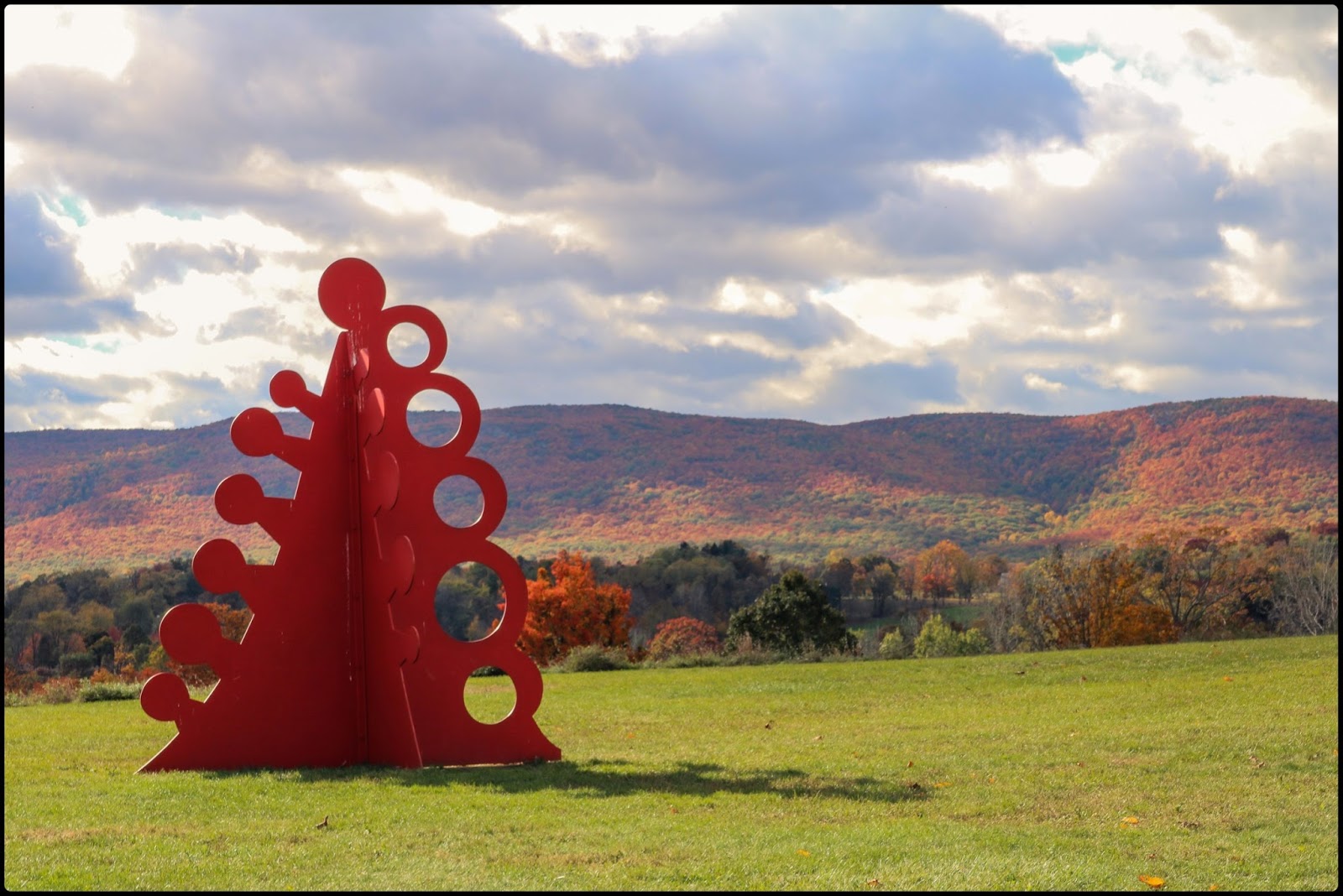 Curiosités et futilités à New York