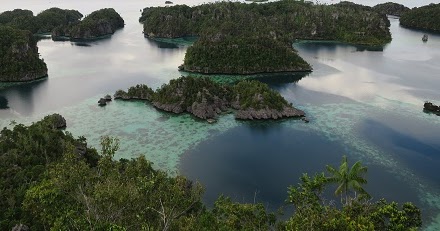 Dive Misool Island Paradise-Raja Ampat :: Diving Misool Raja Ampat