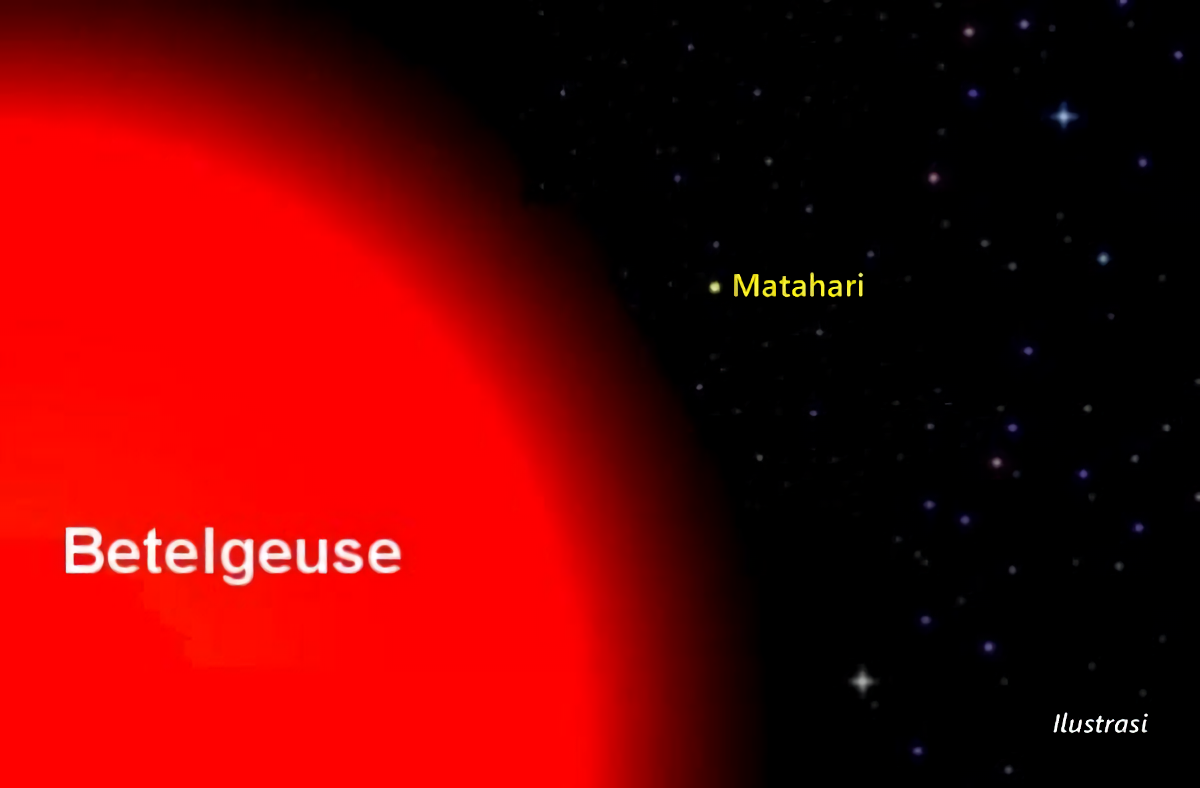 Betelgeuse, Bintang Raksasa Merah Terdekat Bumi - Info Astronomy