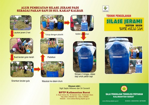 cara membuat pakan silase mudah lengkap - Elinotes review