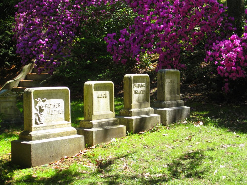 North American Cemeteries: May 2011