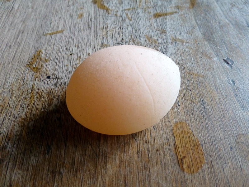 Rural Revolution: Shell-less egg