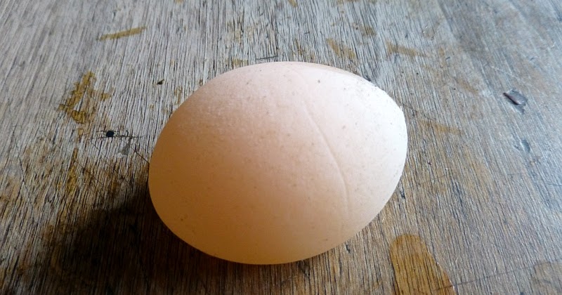 Rural Revolution: Shell-less egg