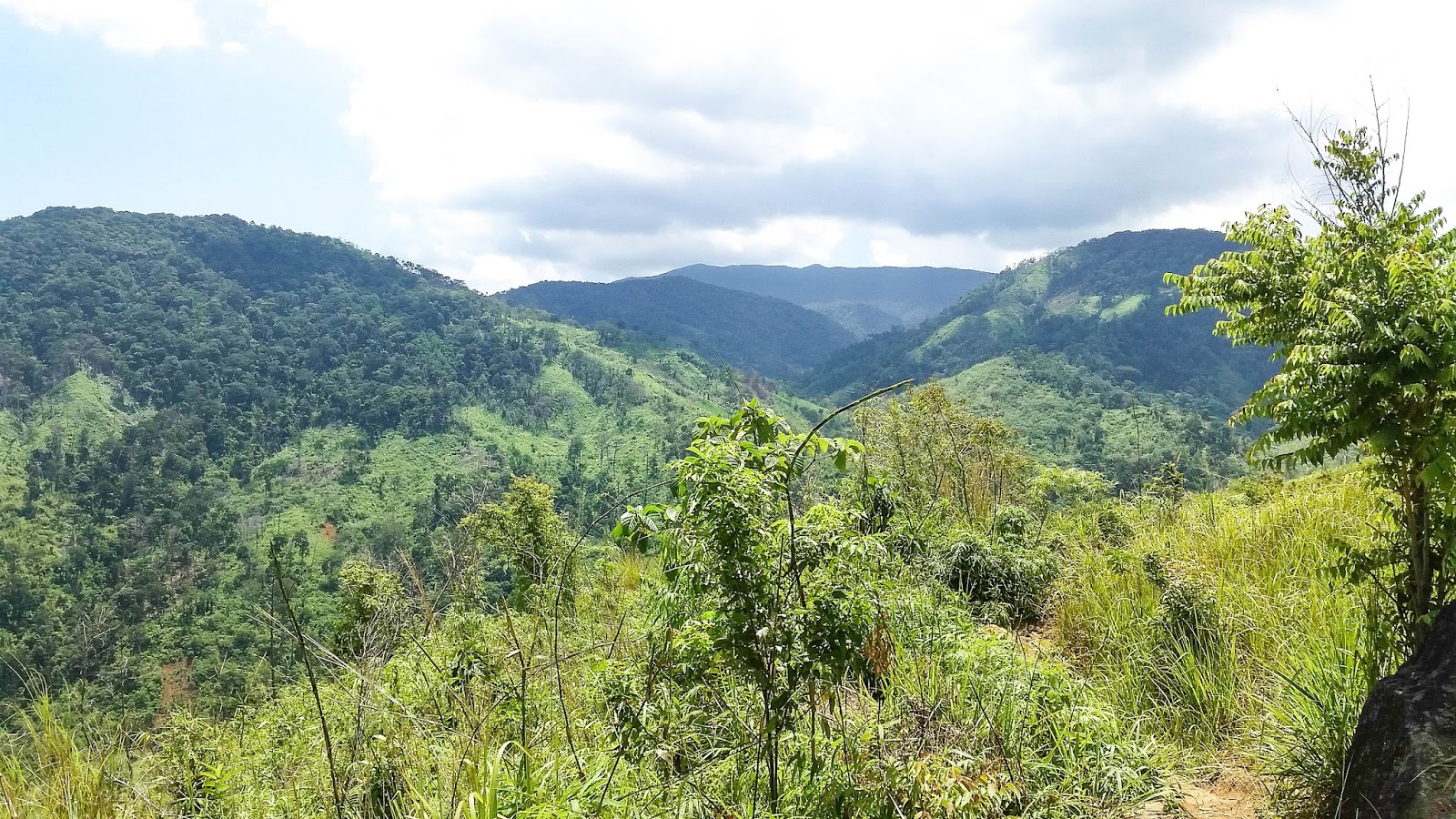 Wandering Den: June 2015