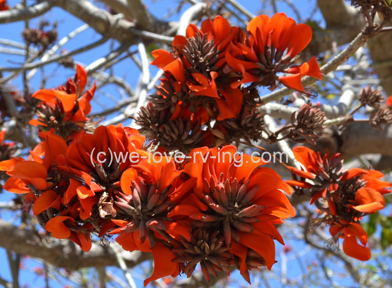 We Love RV'ing: Heritage Park ~ Victorian Village ~ Whaley House ~ San ...