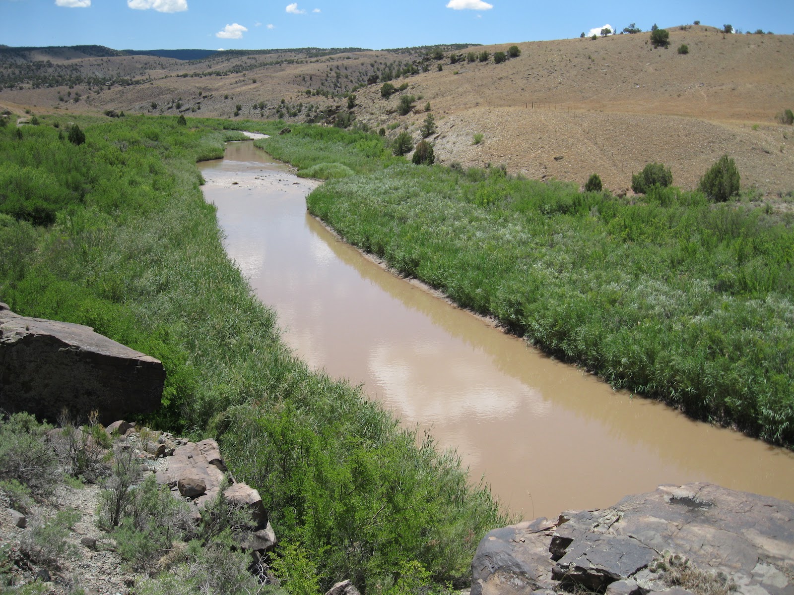 Four Corners Hikes-Dolores River Valley Colorado: Dolores River at ...