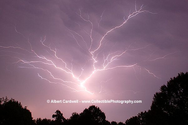 Photography Images By Albert Cardwell