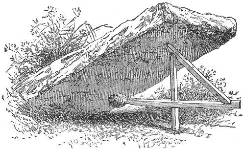 Weltmurksbude: The Mérode mousetrap