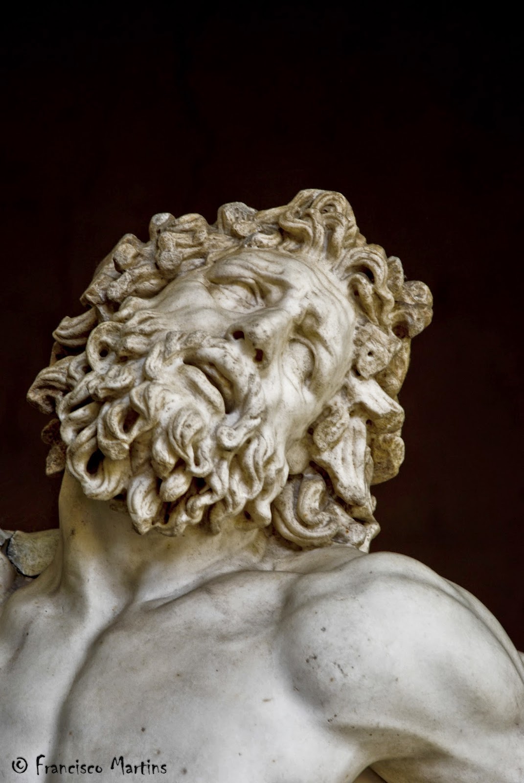 Serra e Mar: O Cacto que lembrava Laocoonte