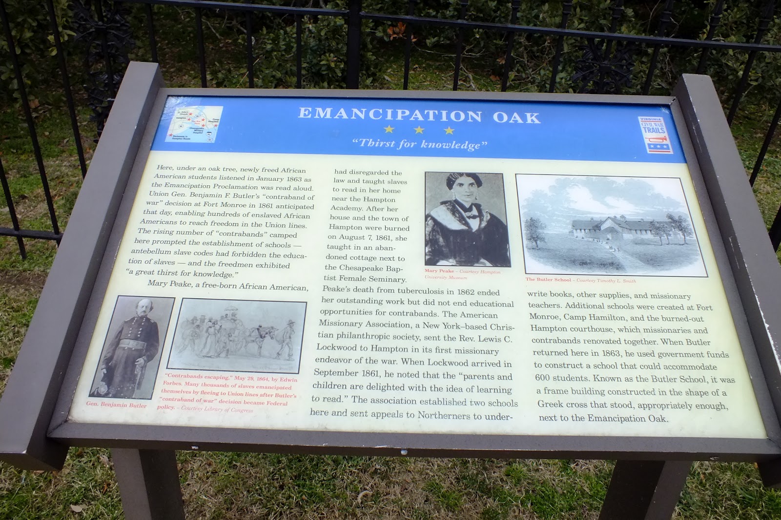 Gene's Garden: Three Live Oak Trees