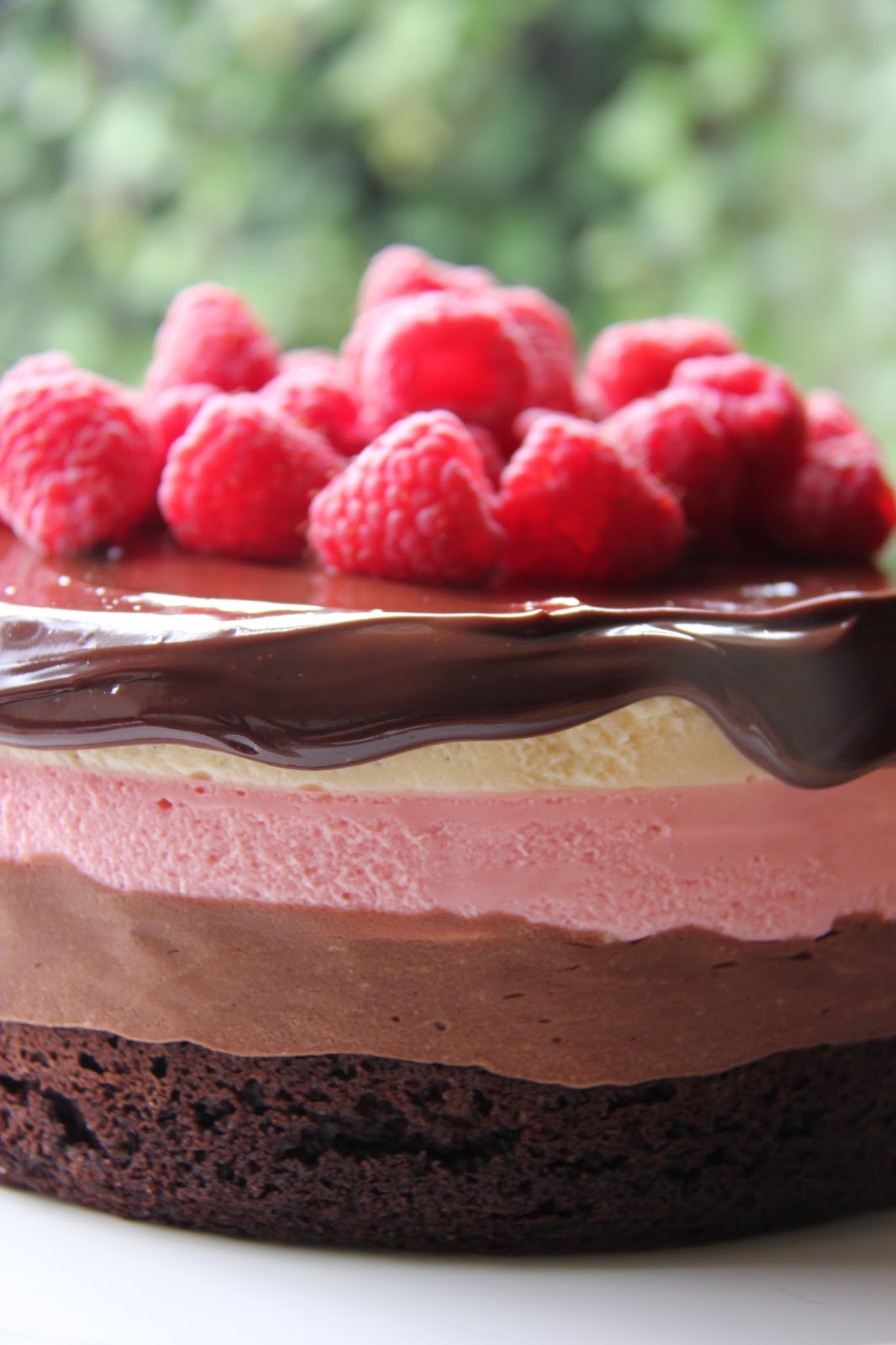 Passion for Baking: Passion for Baking Turns 1 today!