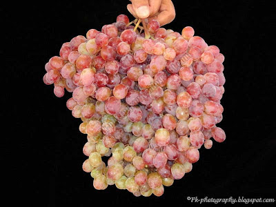 Bunch Of Grapes | Nature, Cultural, and Travel Photography Blog