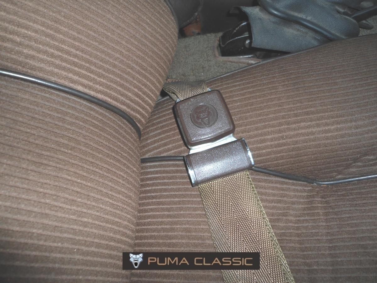 Puma Classic: Puma de amigo - GTS 1979 Verde Cactus