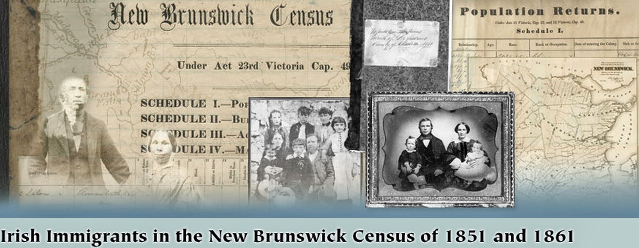 Townland of Origin: Irish Immigrants in New Brunswick Census 1851 & 1861