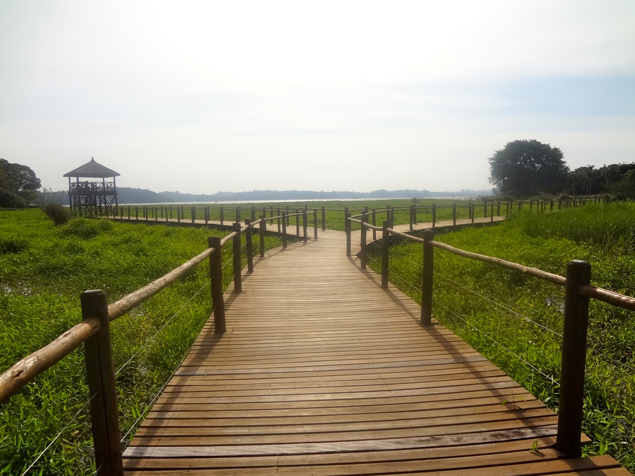 Conheça 4 Parques Lineares em São Paulo que unem lazer e preservação ...