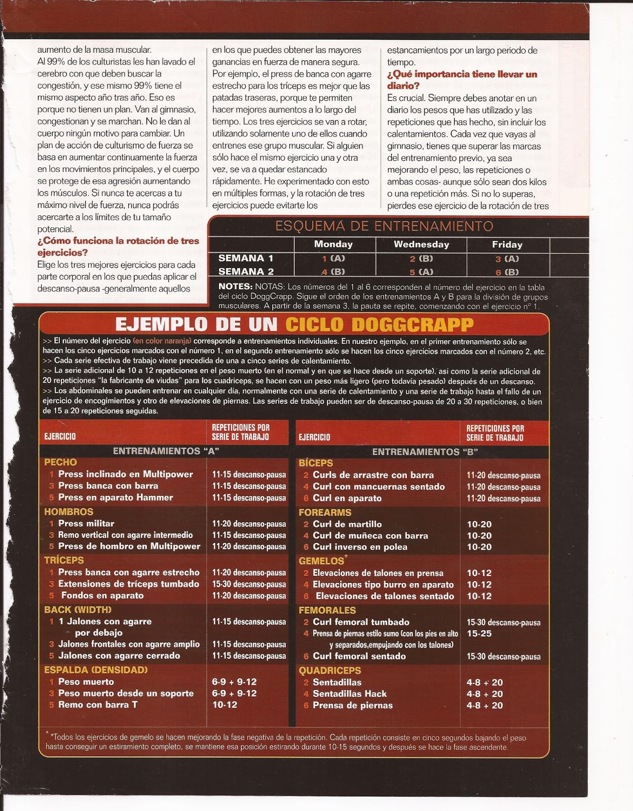 CULTURISMO EXTREME: ¿ SERA EL SISTEMA DE ENTRENAMIENTO DOGGCRAPP DE ...