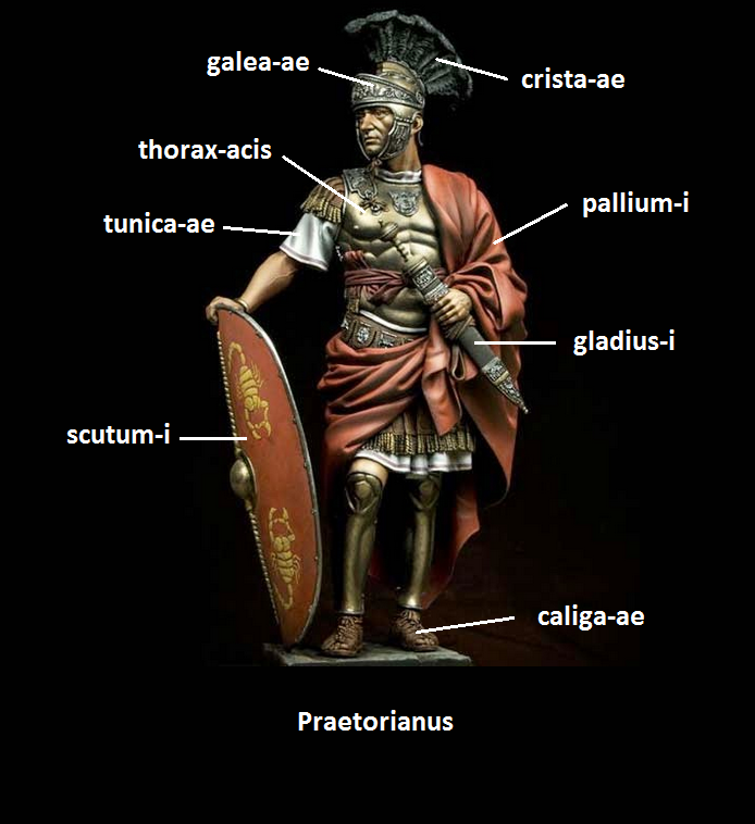 Imperatores et βασιλεῖς: De Praetorianis