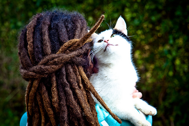 Cómo Eliminar los piojos de las Rastas