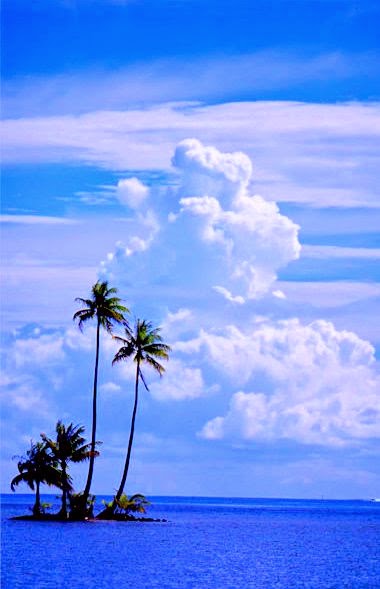 new seen photo ~ Inaamfirst