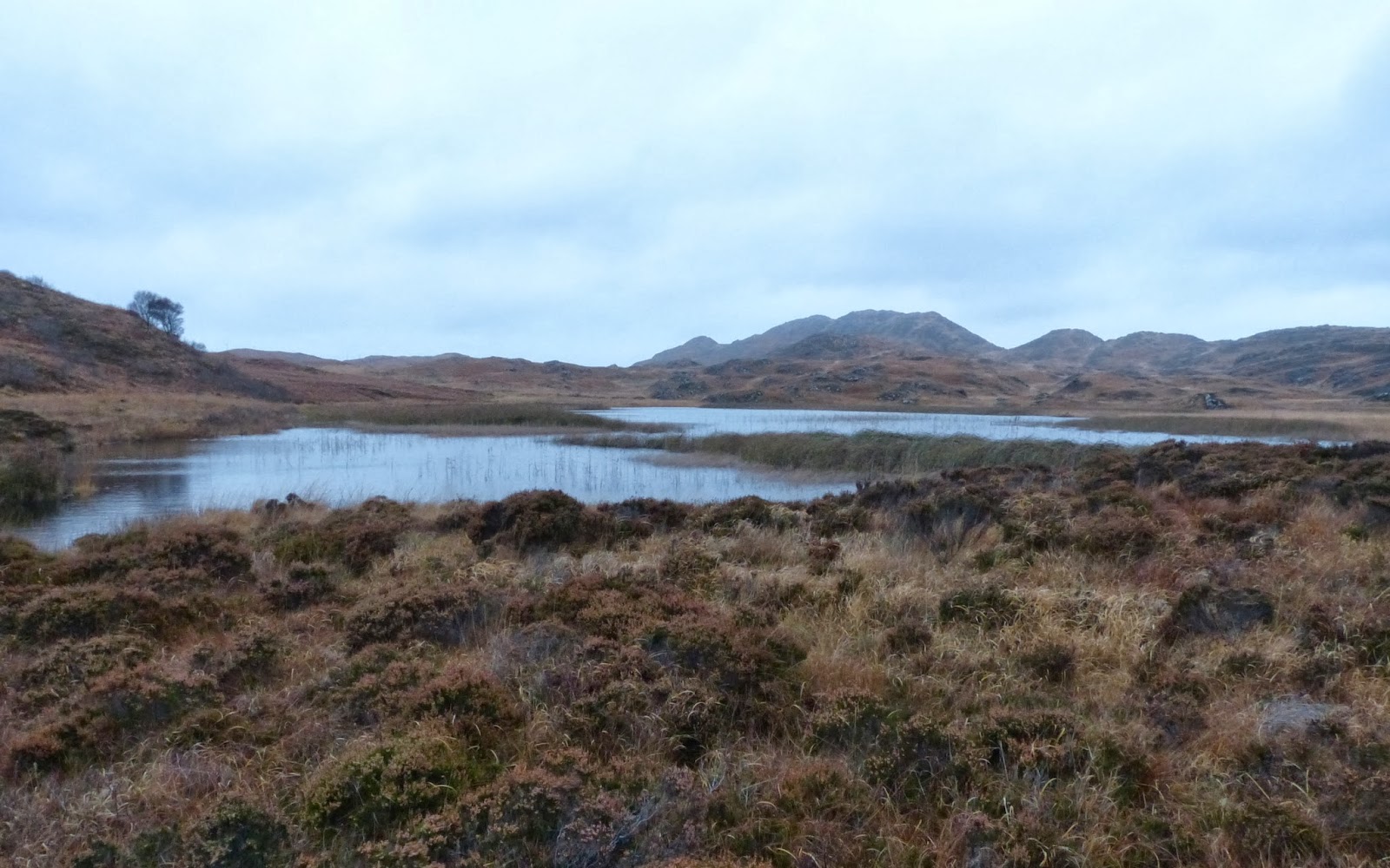 A Kilchoan Diary: A Circuit of Lochan nan Ealachan