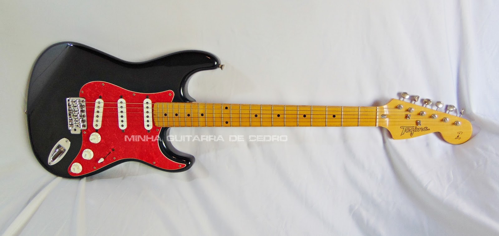 Minha Guitarra de Cedro: o museu digital da guitarra brasileira: Minha ...