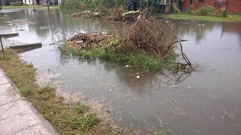 LA GENERACIÓN SIGUIENTE: [FOTOS] El Tigre de Sergio Massa, todo ...