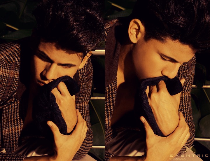 Francisco Aponte: En la oscuridad de la noche