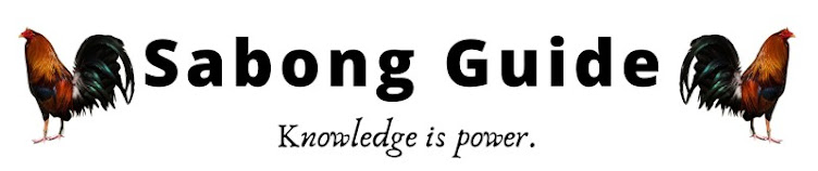 The Secret to Gamefowl Pointing: Steroid Use and Supplements: MY 21 DAY ...