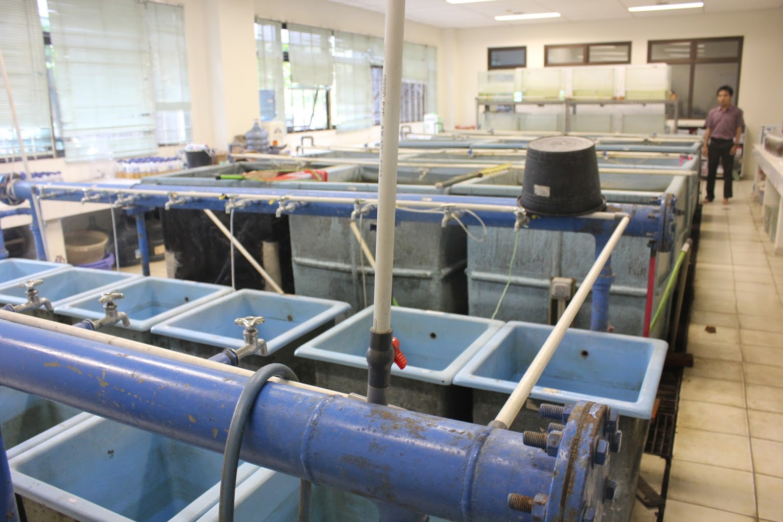 Ruang Lingkup Penyuluhan : Teknik Produksi Perikanan Yang Lebih Baik ...