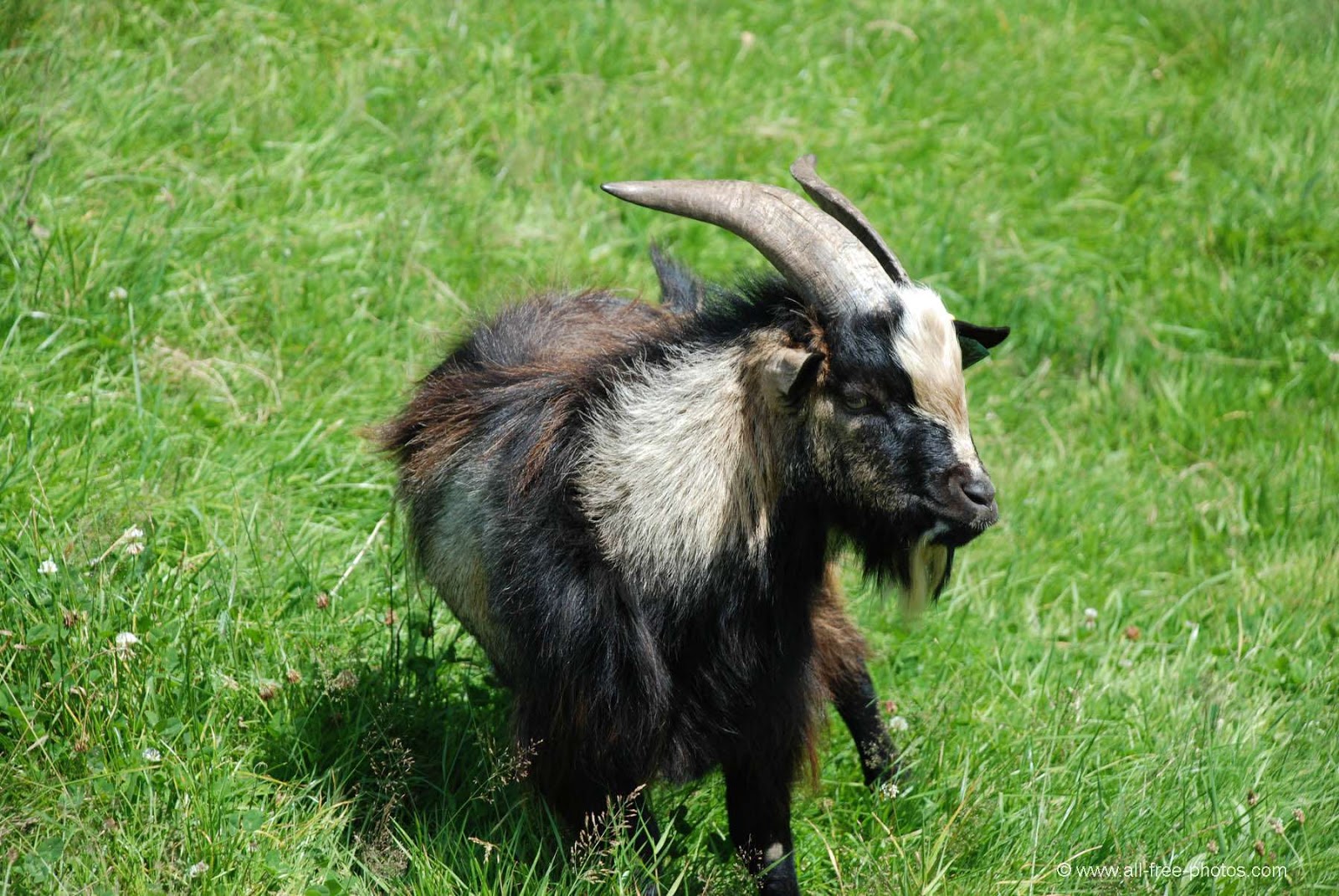 ¿Quién es Azazel y a quien representa?