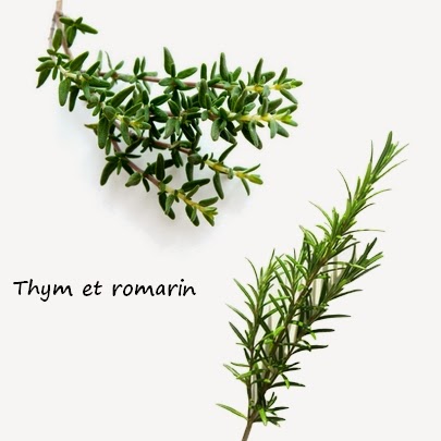 Natura Mundi: Info plante : Le thym et le romarin