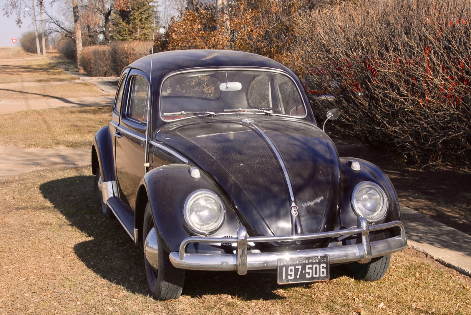 autoliterate: 1960 Volkswagen Beetle