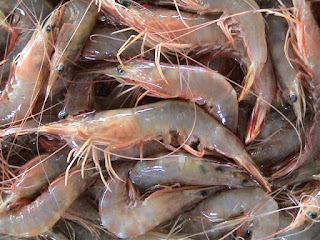 Aneka Tips: Stop Buang Kulit Udang, Ini Manfaatnya yang Luar Biasa ...