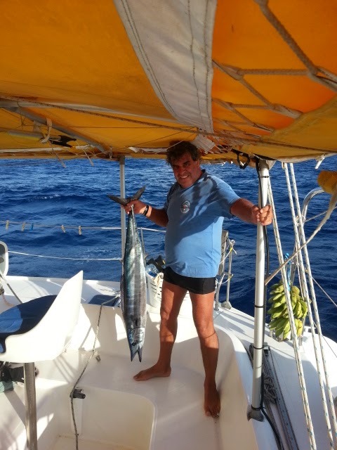 Lazarina des Océans