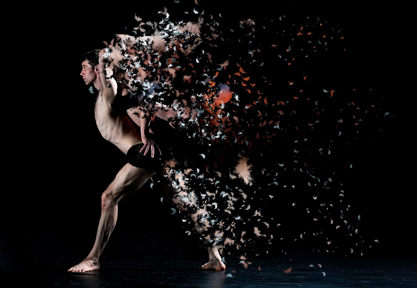 Stunning Feather Photo Effect Photoshop CS6 Tutorial - Tasty Tutorials