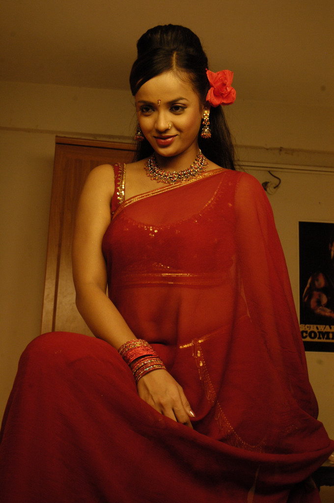 Tanu Roy Hot Photos In Saree
