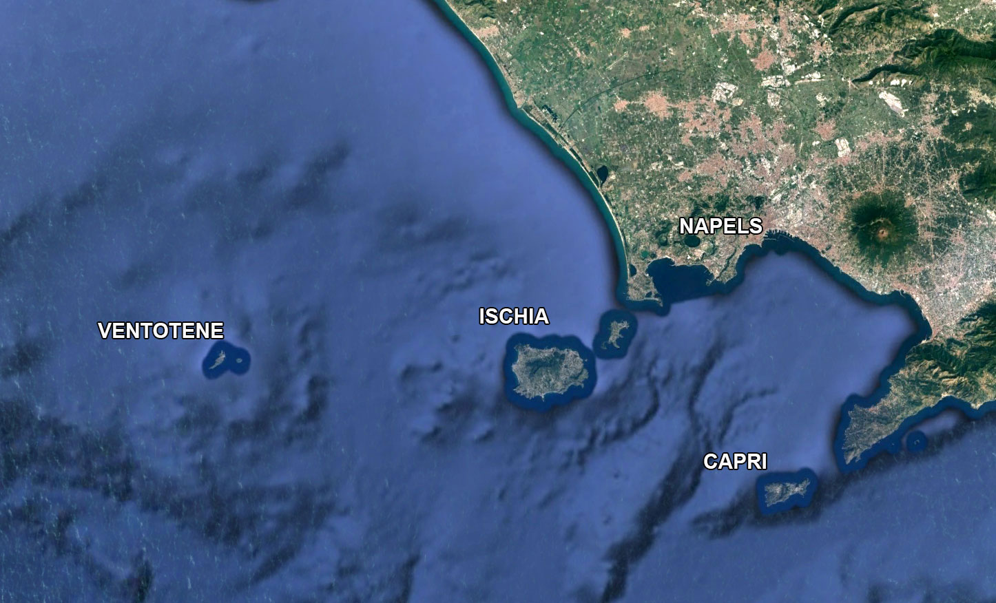 Studiebol: De Opvolger, Willemijn van Dijk, 2017.